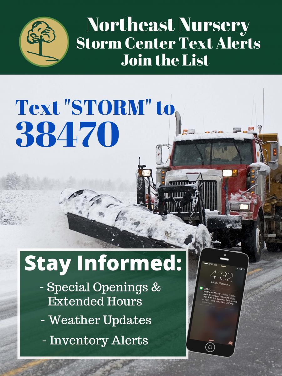 Storm Center Hotline